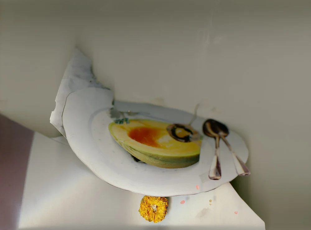 Exhibition Review: Laura Letinsky | Albeit — Musée Magazine