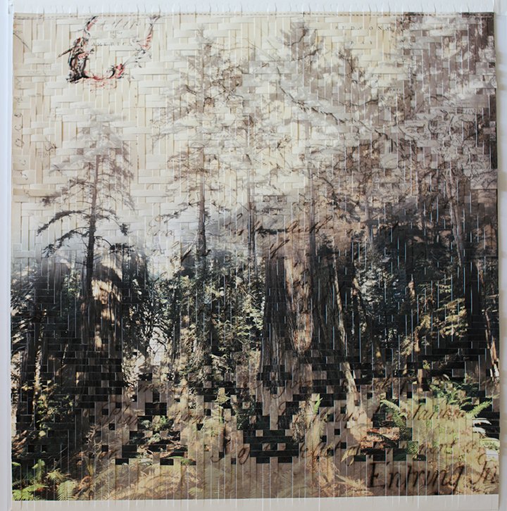 Exhibition Review: Power Lines, Sarah Sense at Bruce Silverstein ...