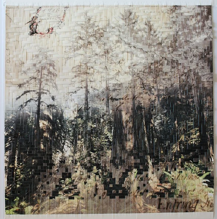 Exhibition Review: Power Lines, Sarah Sense at Bruce Silverstein ...