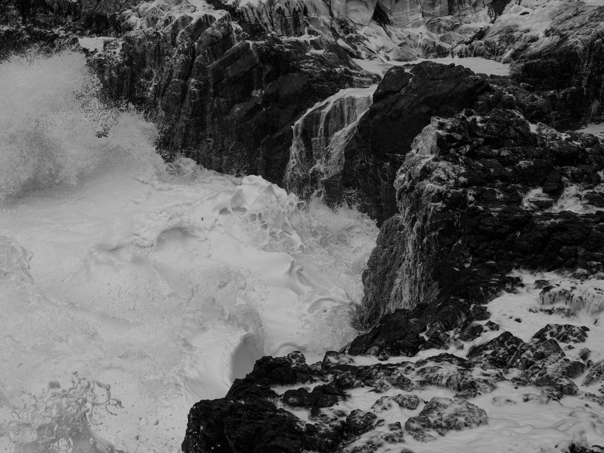 Ron Jude: Low Tide | Gallery Luisotti — Musée Magazine
