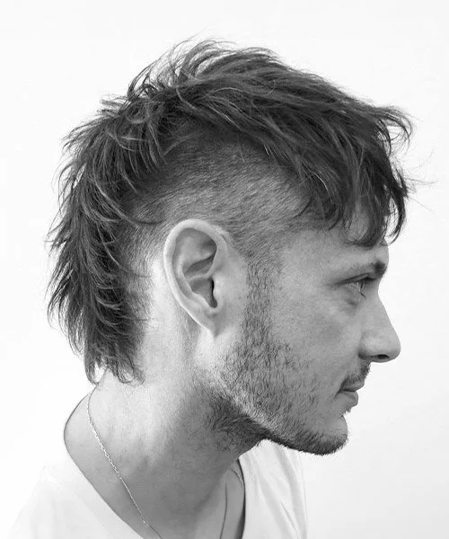 The Mullet Hairstyle: A Bold Fusion of Business and Party — Swanky Malone