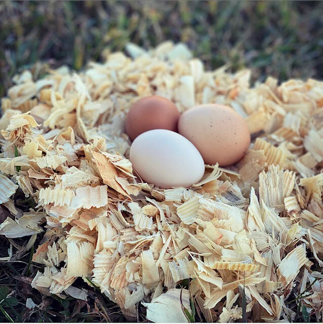 Clover Valley Farm