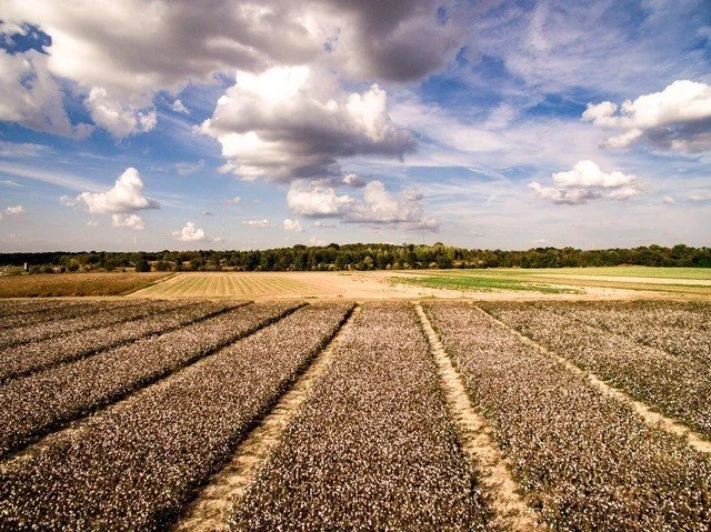 Event Calendar — Agricenter International