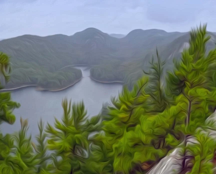 David Brazier Photography