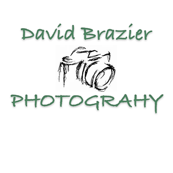 David Brazier Photography & Video