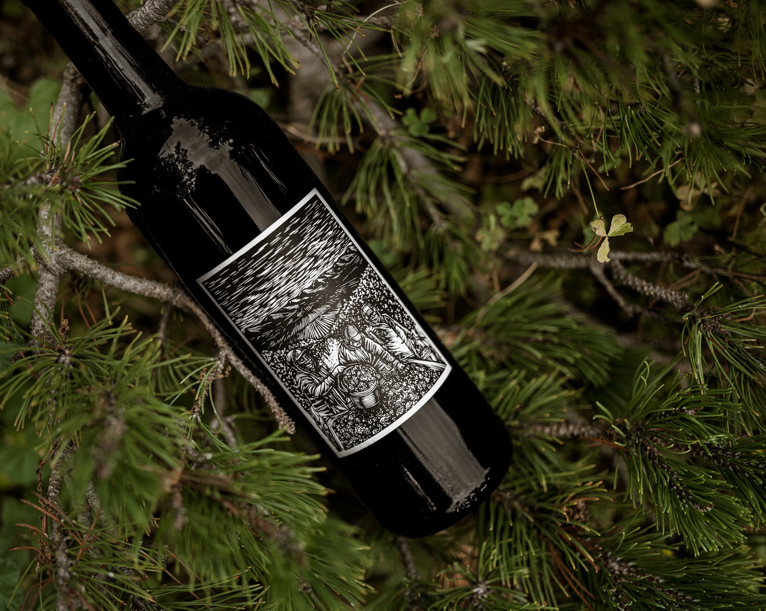 Shop — Orr Wines
