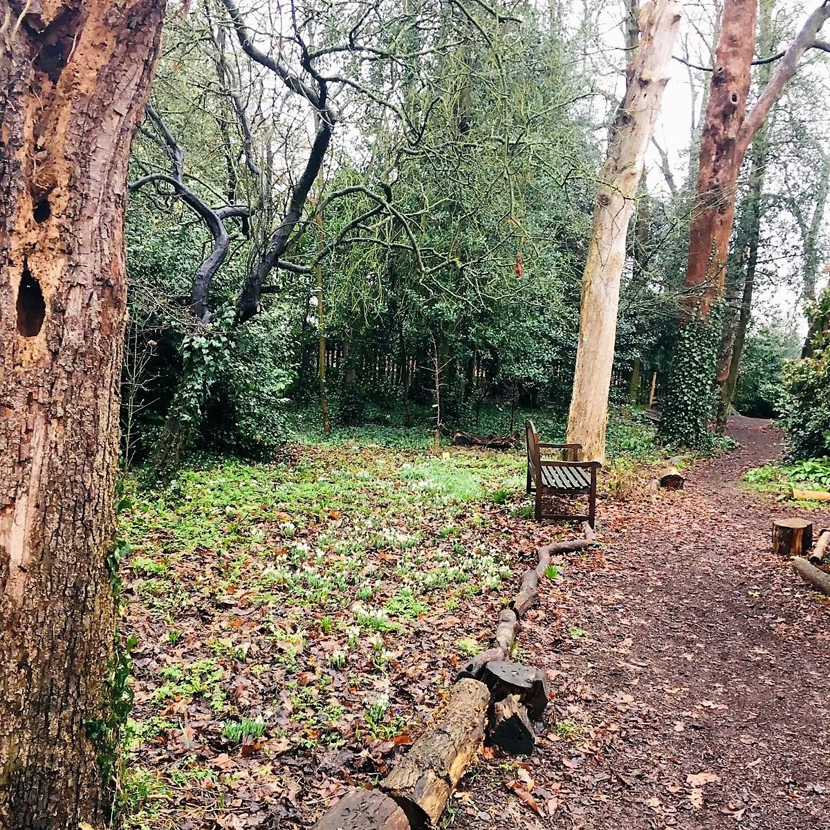 VENUE: Capel Manor Gardens - Kids Parties by Puddles