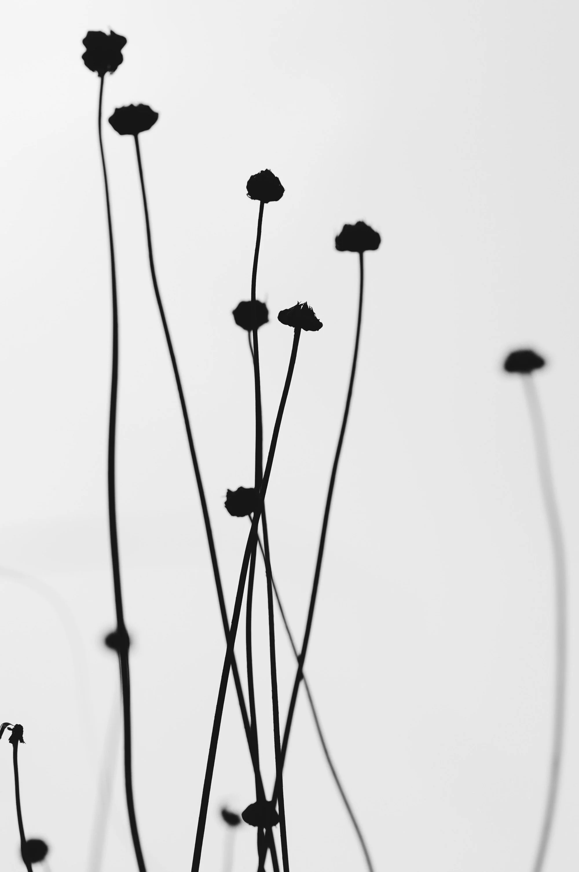 Six Twelve | Wyndsor Design | branding + design