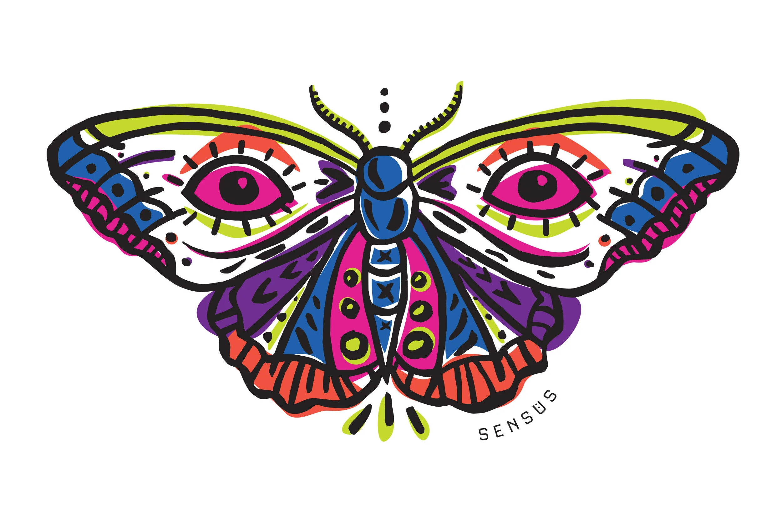 Sensüs | Wyndsor Design | branding + design