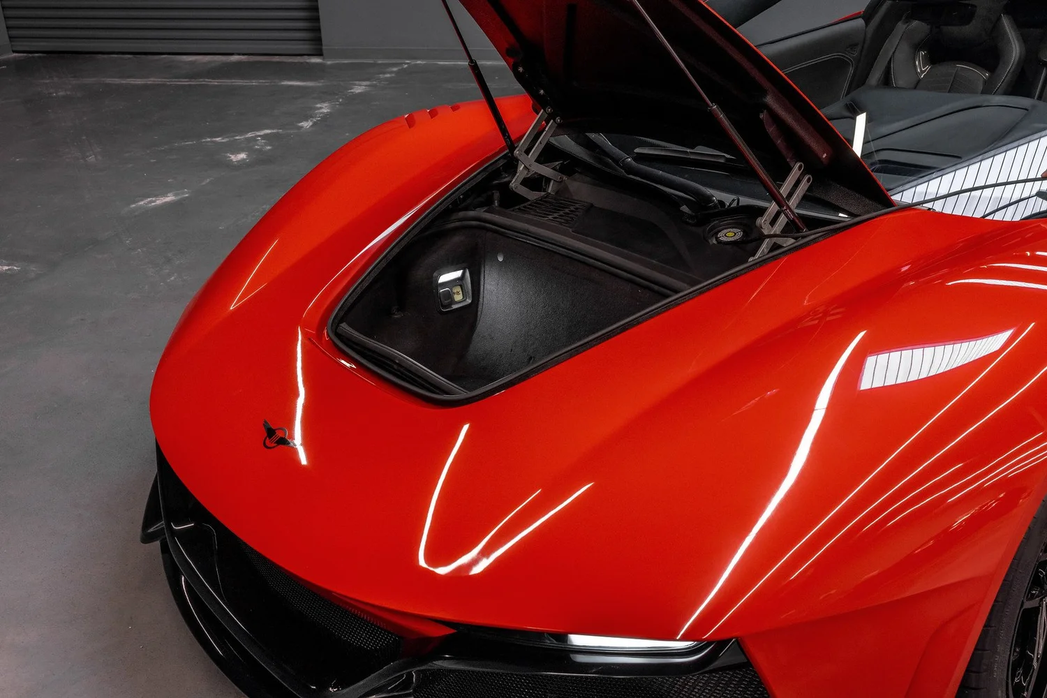 Beast Features — Rezvani