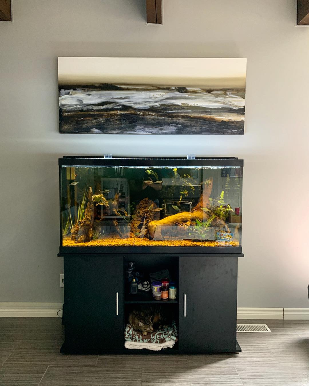 ABSTRACT LANDSCAPES — GREG BENZ ARTWORK