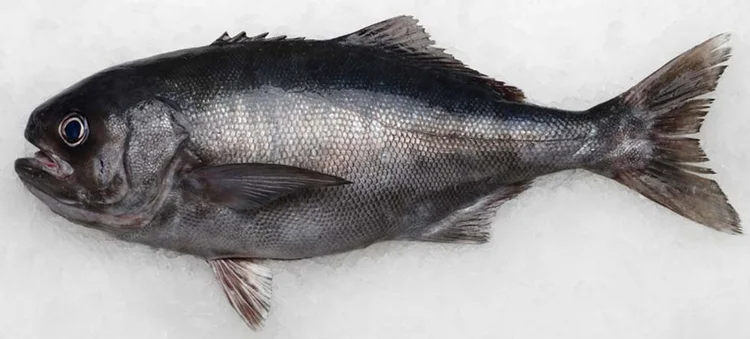 How the fish is caught — Mangonui Fish Shop