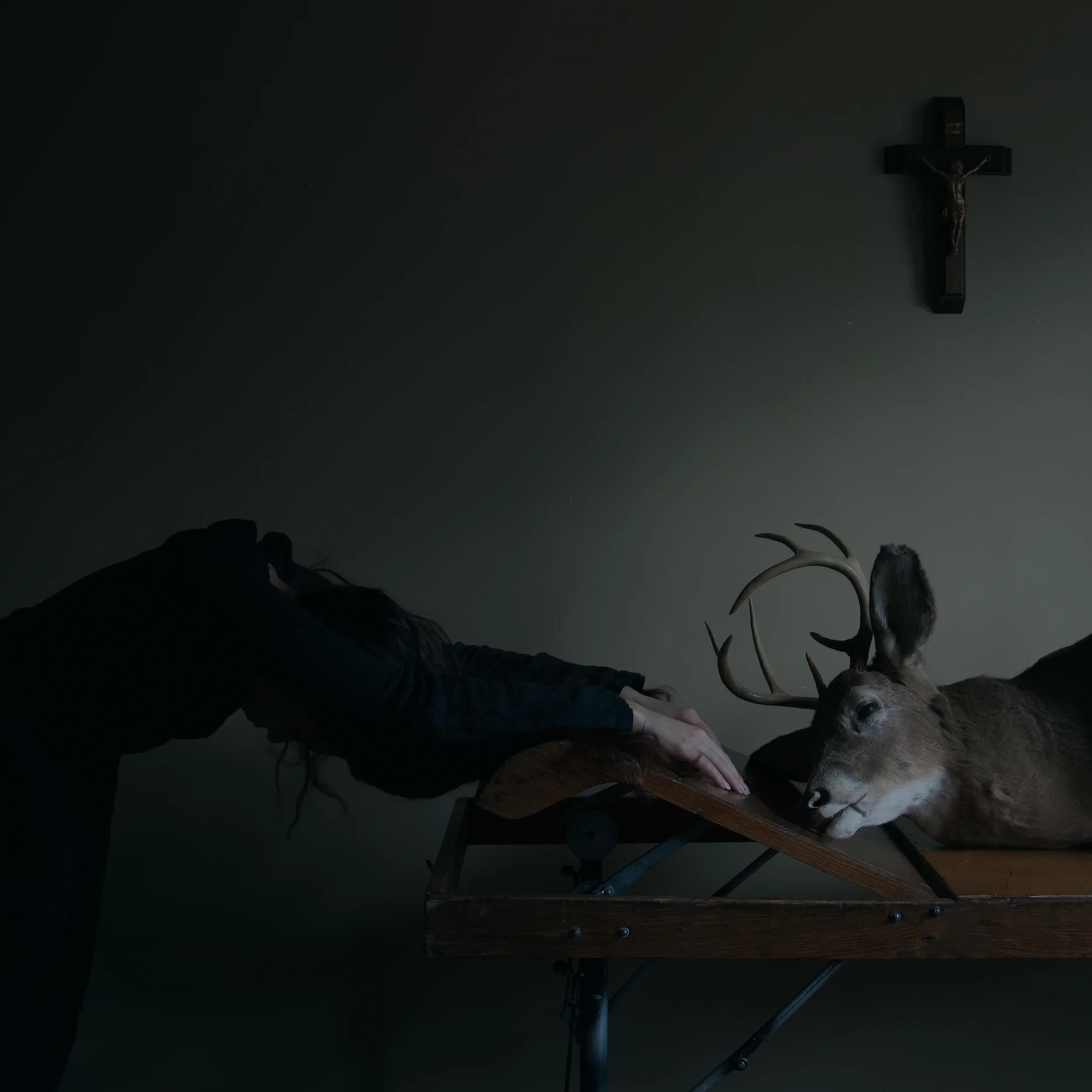 the work of crystal lee lucasThe Work of Crystal Lee Lucas