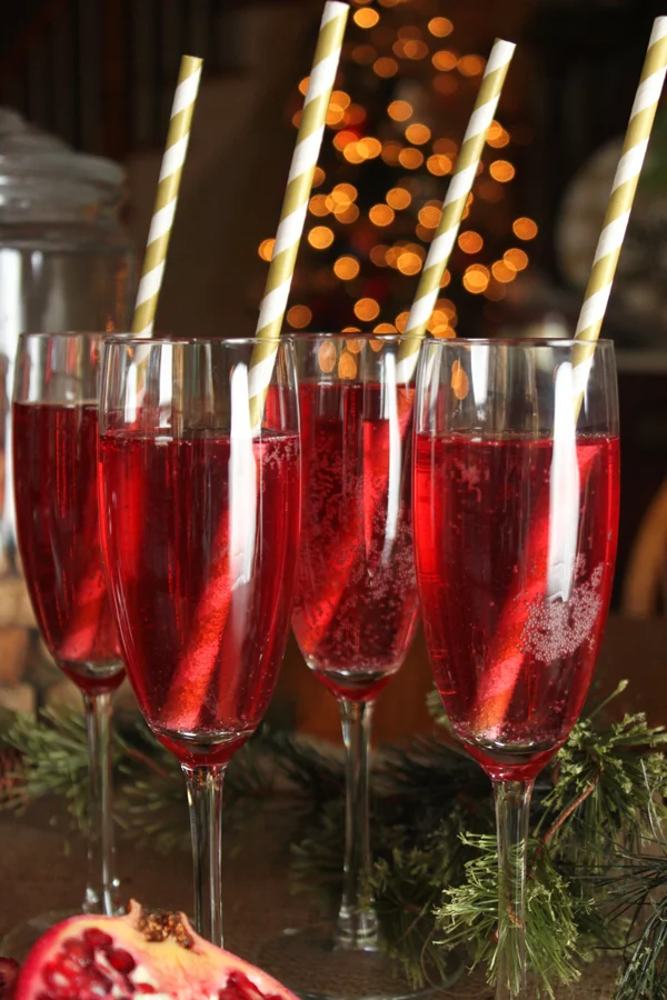 Countdown Cocktail Recipe — When it Rains Paper Co. | Colorful and fun ...