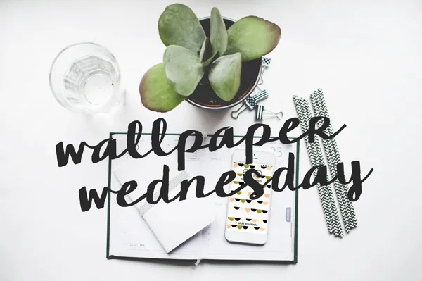 Wallpaper Wednesday — When it Rains Paper Co. | Colorful and fun paper ...