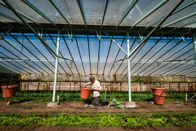 A Peruvian Greenhouse in the Sierra Nevada — The Furrow — Laura Read ...