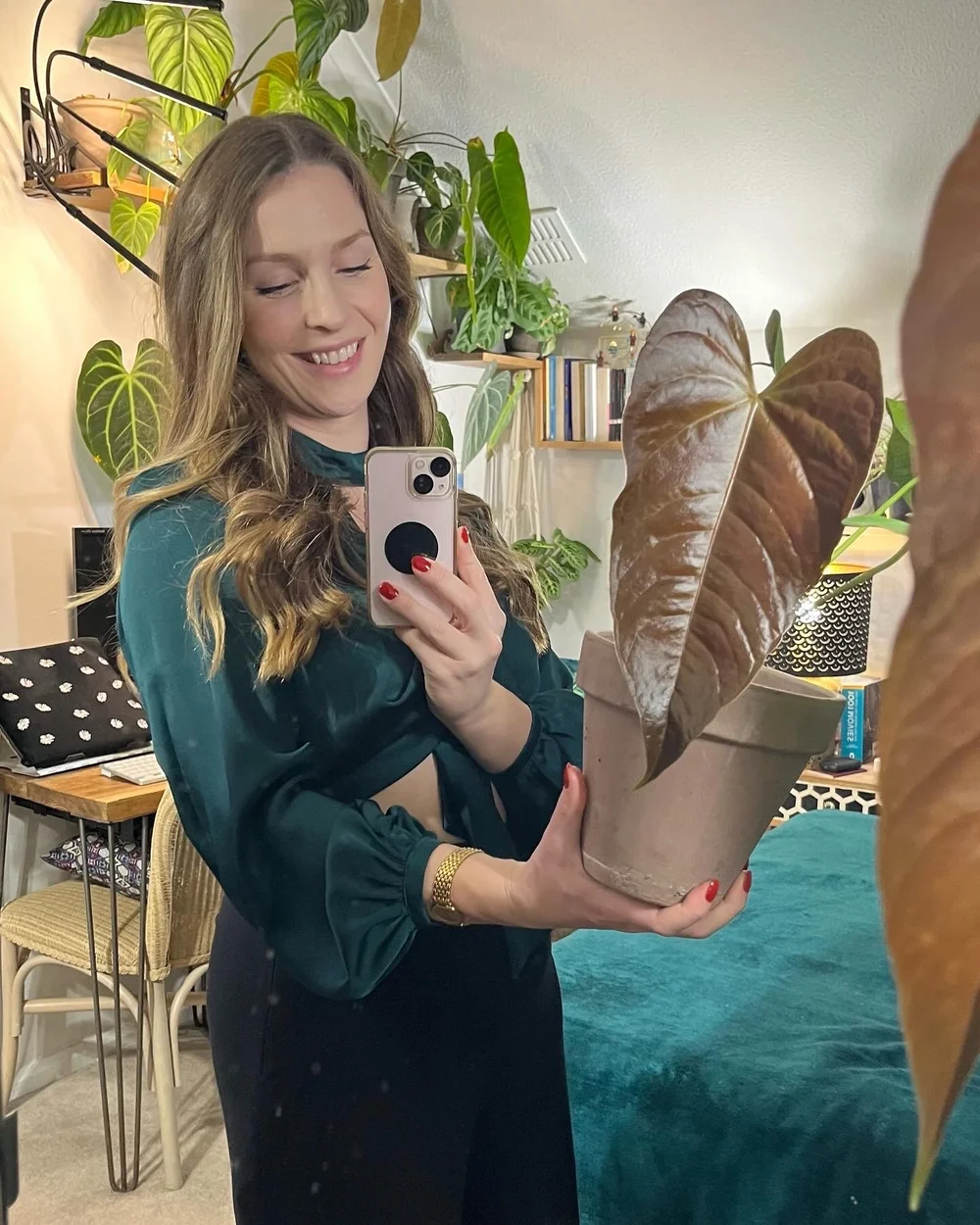 Episode 289: launching the OTL sowalong, plus Anthuriums without ...