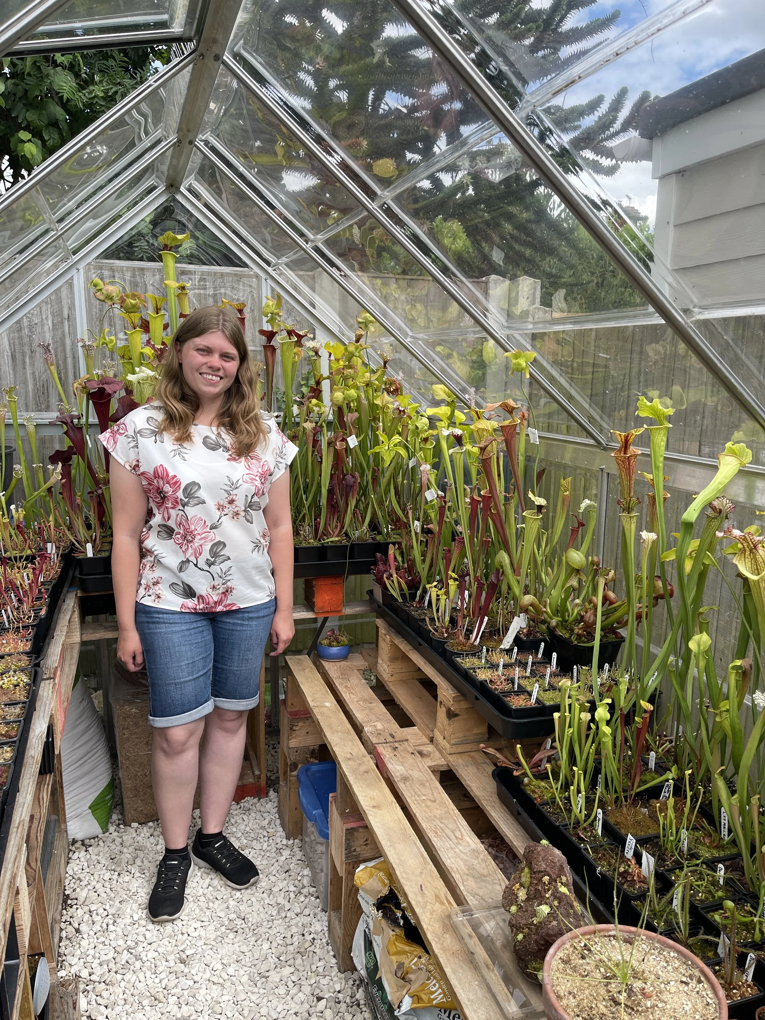 Episode 270: carnivorous plants in the greenhouse — Jane Perrone