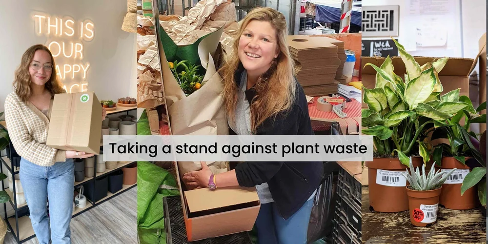 Guest Post: The Plant Rescue Box Initiative — Jane Perrone