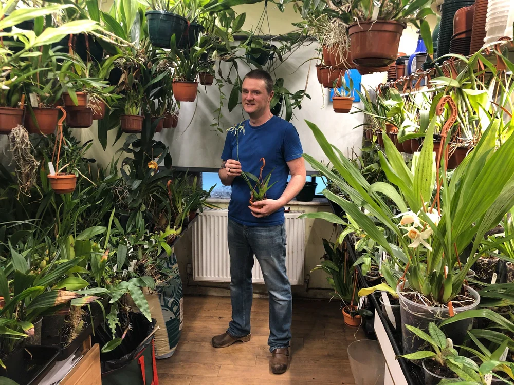 Episode 238: Dendrobium orchids and more with Kevin Wigley — Jane Perrone