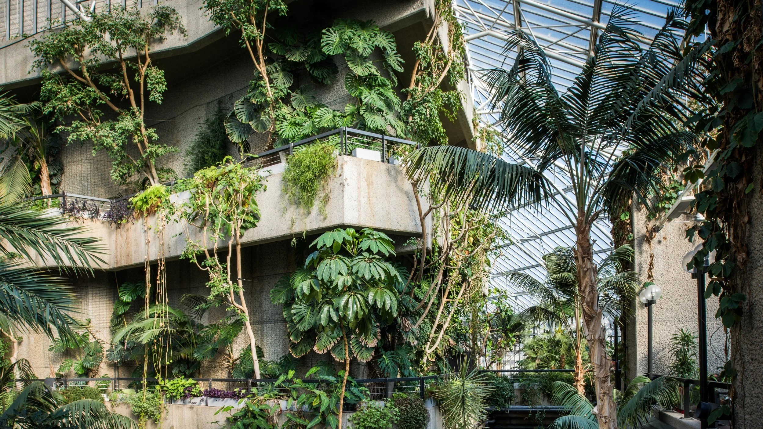 Episode 217 The Barbican Conservatory Jane Perrone