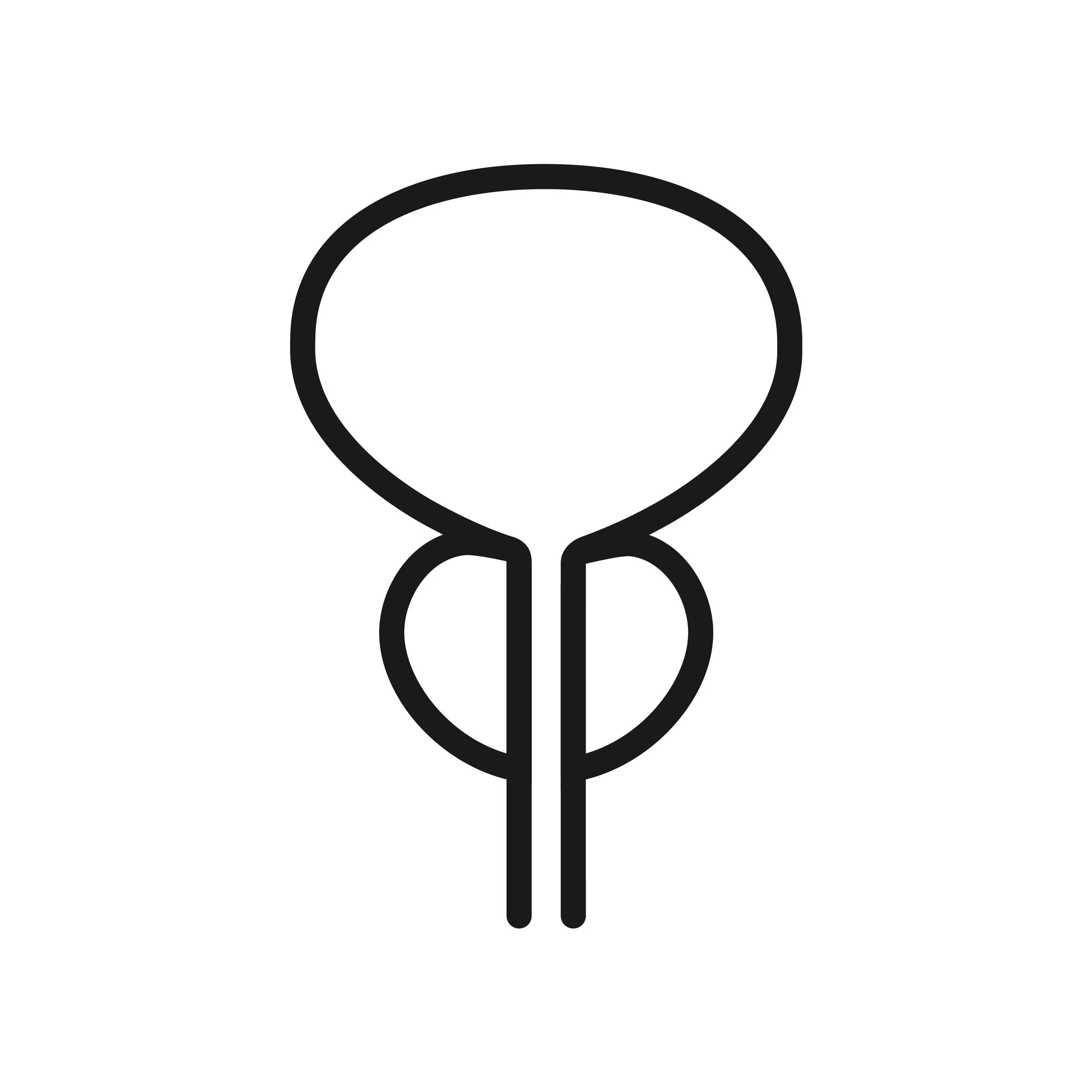 Bladder neck incision Melbourne | BNI West Melbourne — Homi Zargar