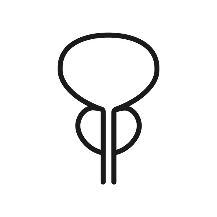 Transurethral prostatectomy (TURP) | Schedule Your Consultation Today ...
