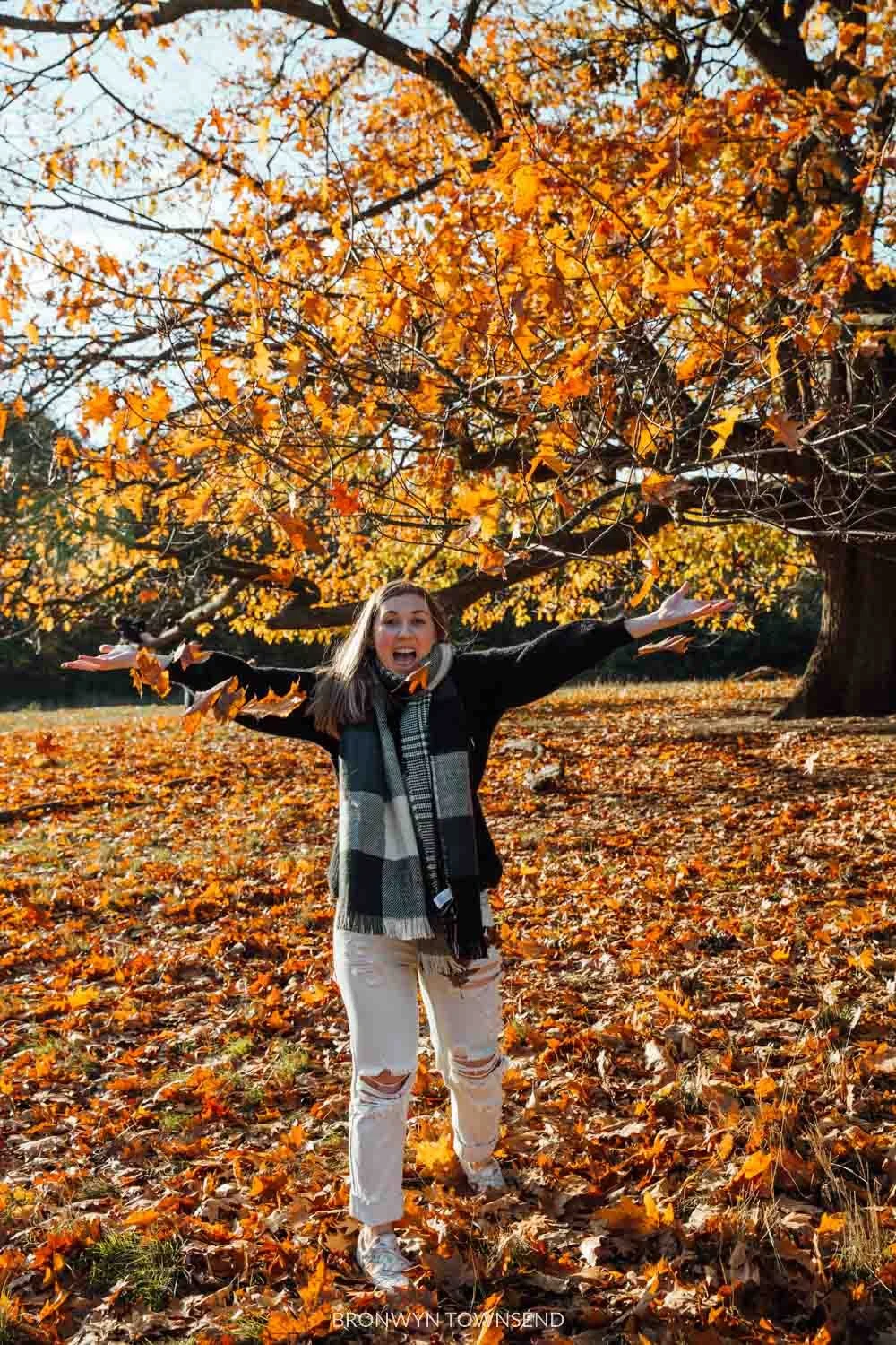 Autumn in London: Where to find the best fall colours 2022