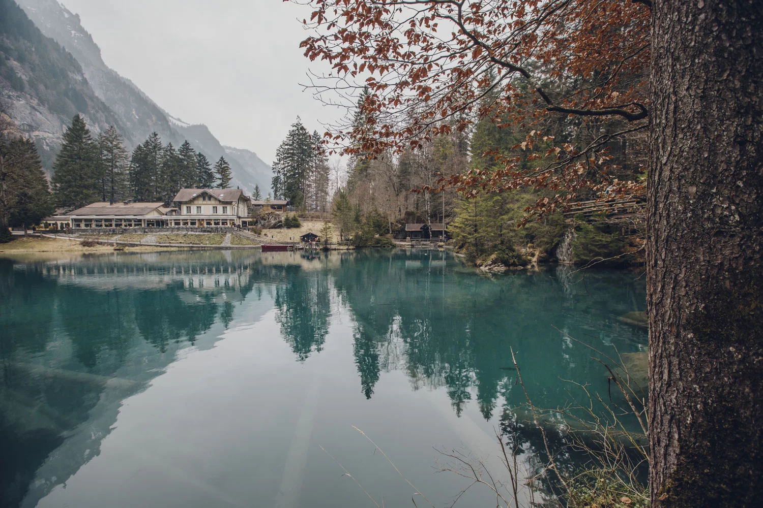 Blausee - An Alpine Oasis — Bronwyn Townsend