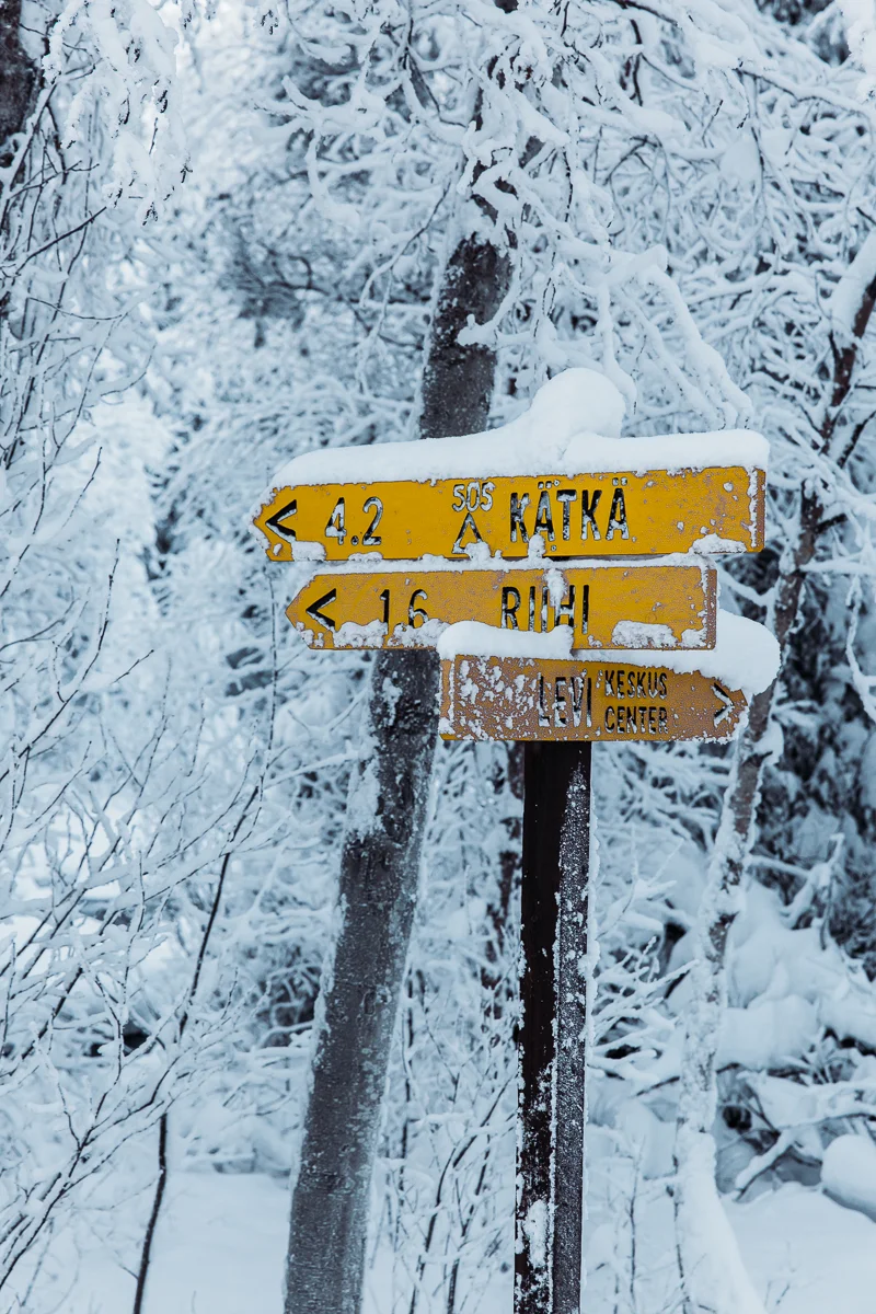 A Winter Adventure in Finnish Lapland — Bronwyn Townsend