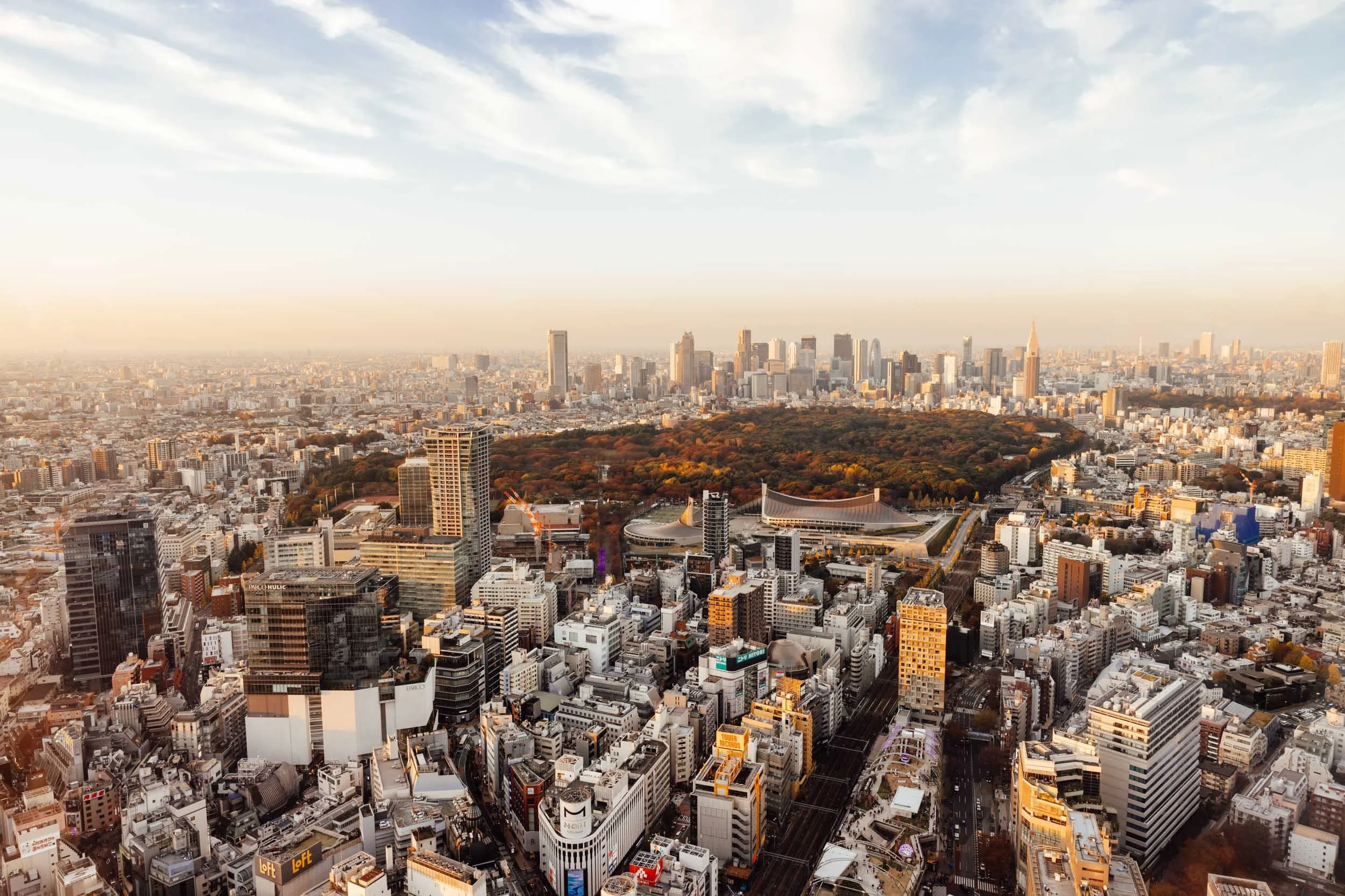 19 Essential Things To Know Before Visiting Japan