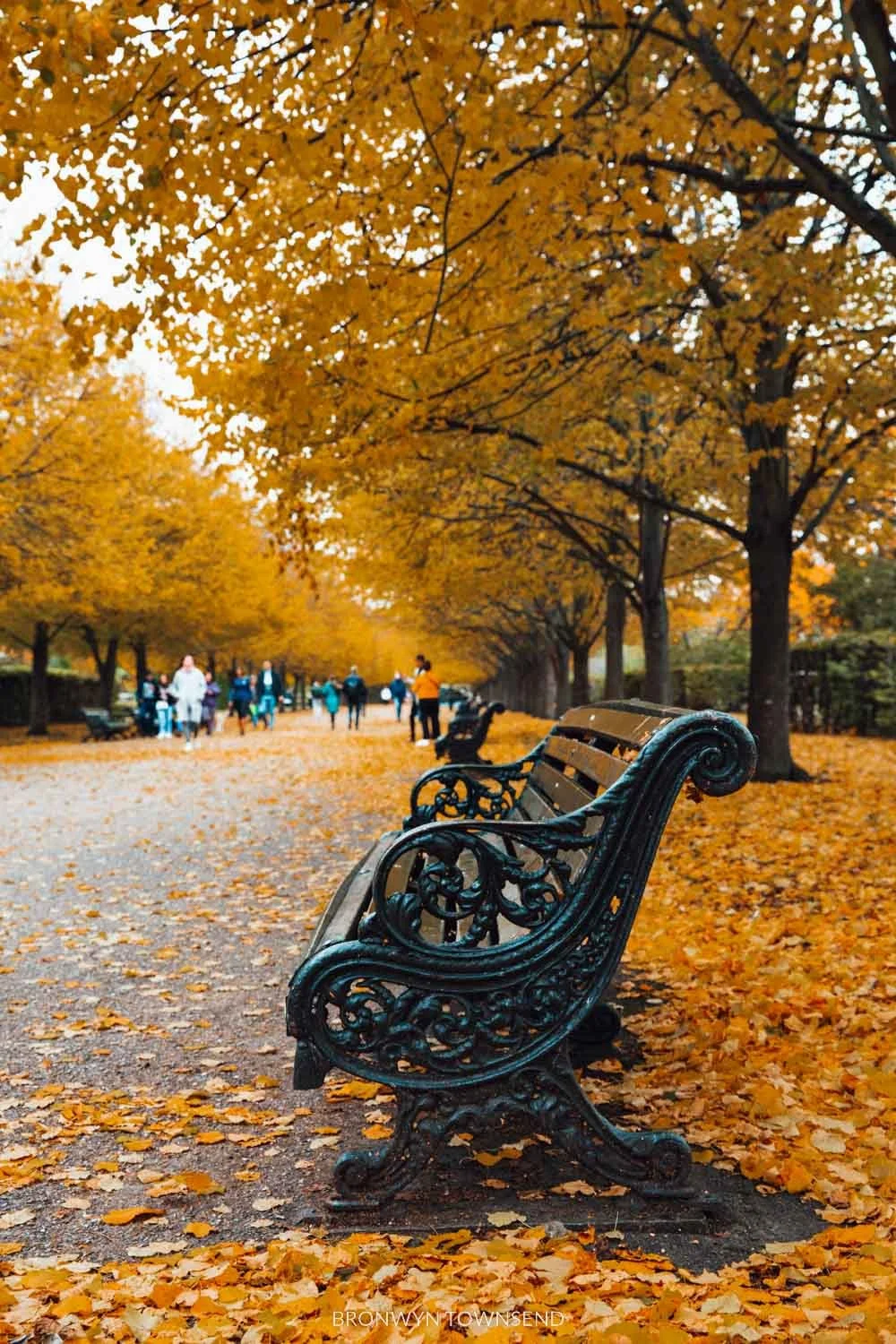 Autumn in London: Where to find the best fall colours 2022