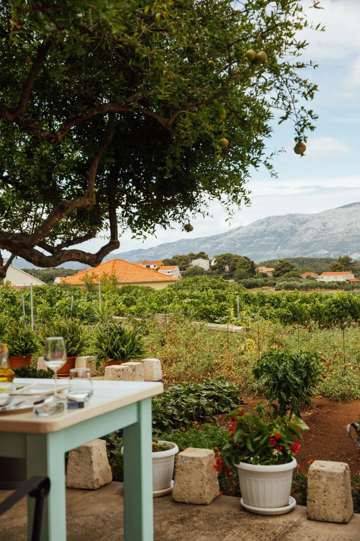 Guide to wine tasting in Lumbarda, Korcula, Croatia