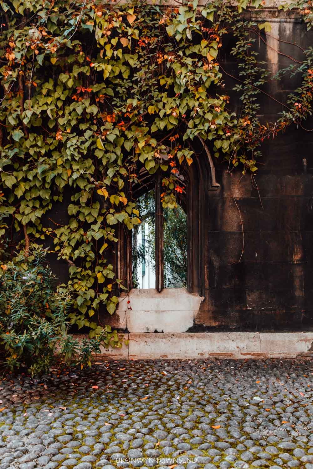 Autumn in London: Where to find the best fall colours 2022