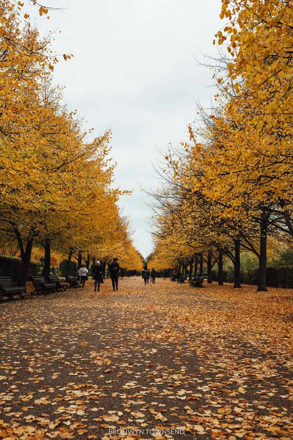 Autumn in London: Where to find the best fall colours 2022