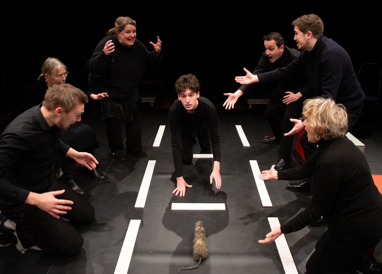 The Curious Incident of the Dog in the Night-Time based on the novel by ...