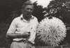 History — James Tower (1919 - 1988)