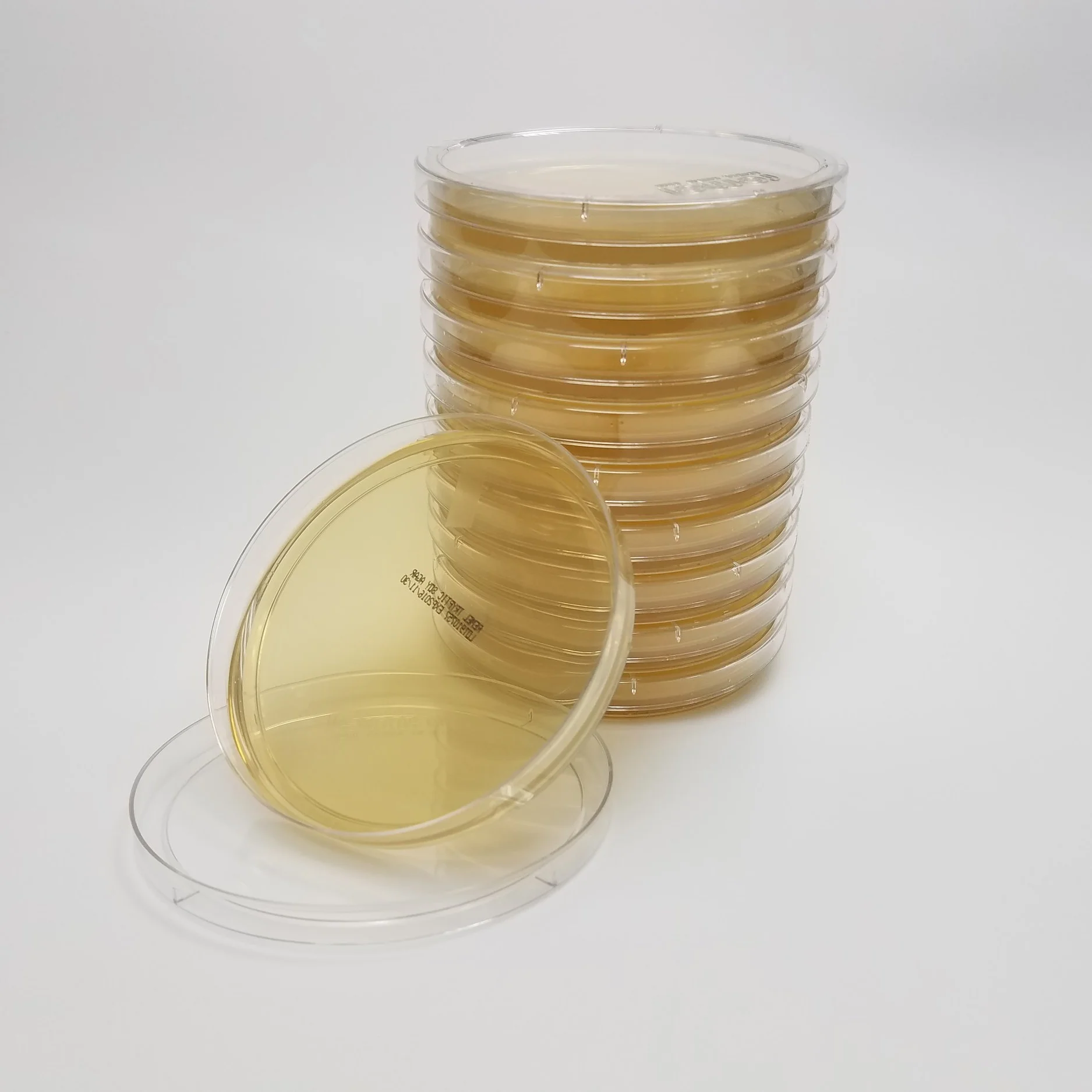 Order TSA Plates | SDA Plates | TSA Plate Microbiology — LAB 797