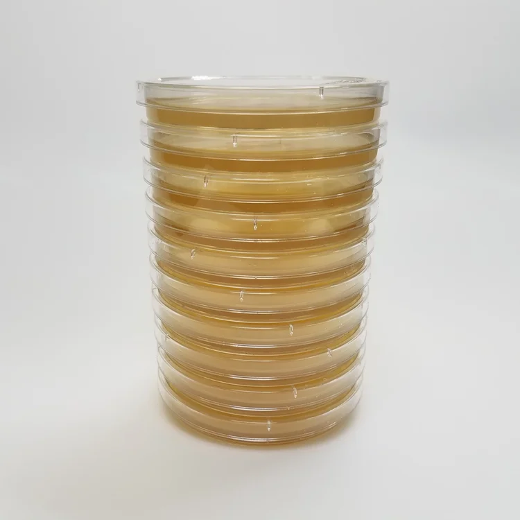 Order TSA Plates | SDA Plates | TSA Plate Microbiology — LAB 797