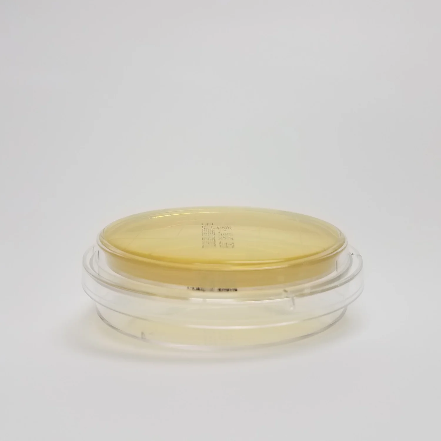 Order TSA Plates | SDA Plates | TSA Plate Microbiology — LAB 797