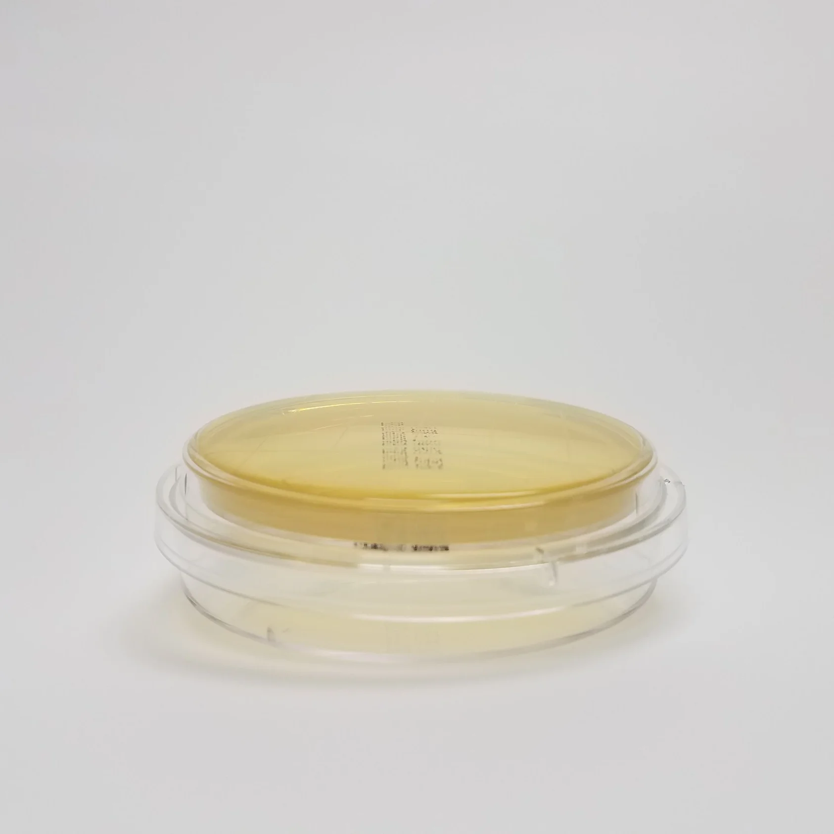 Order TSA Plates | SDA Plates | TSA Plate Microbiology — LAB 797