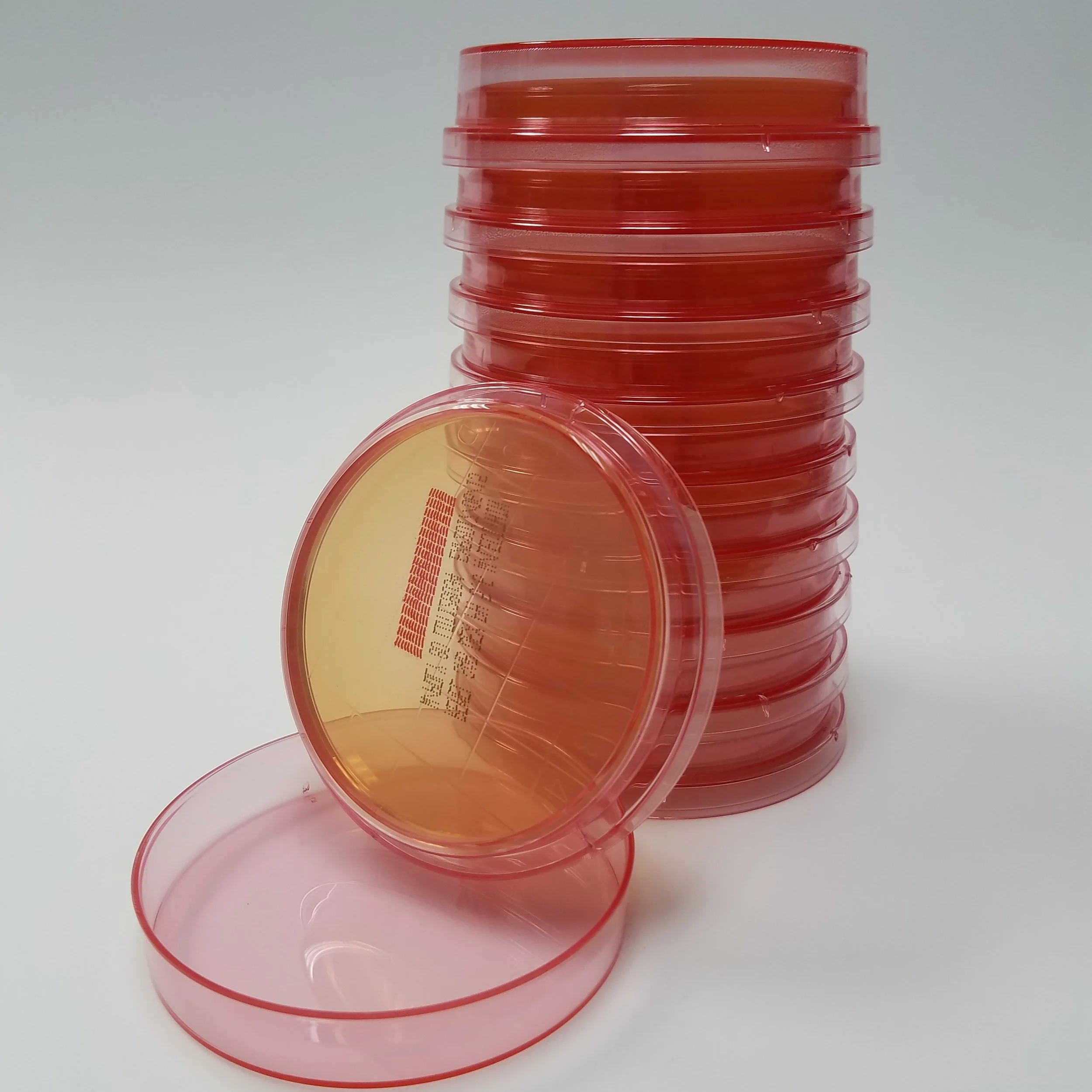 Order TSA Plates | SDA Plates | TSA Plate Microbiology — LAB 797