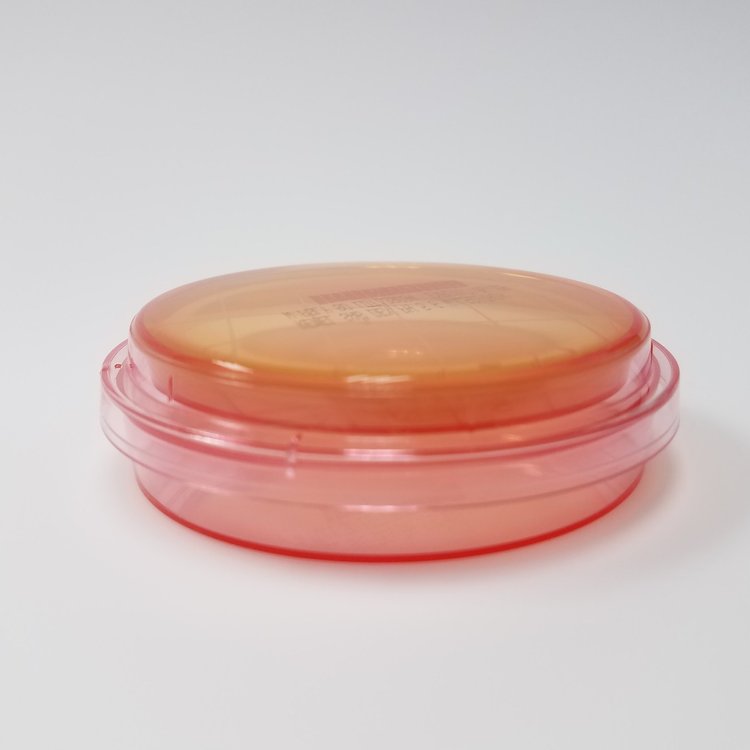 Order TSA Plates | SDA Plates | TSA Plate Microbiology — LAB 797