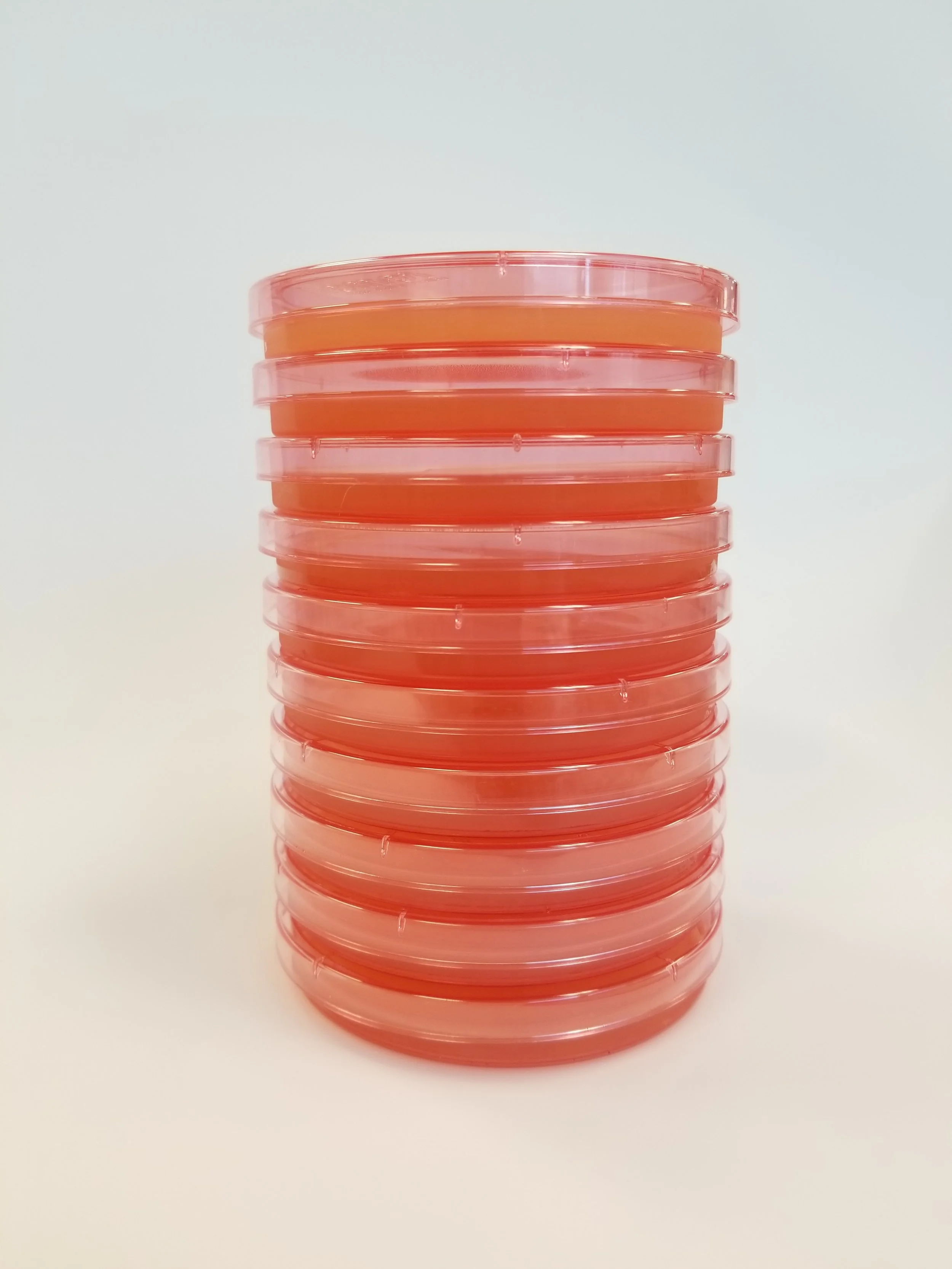 Order TSA Plates | SDA Plates | TSA Plate Microbiology — LAB 797
