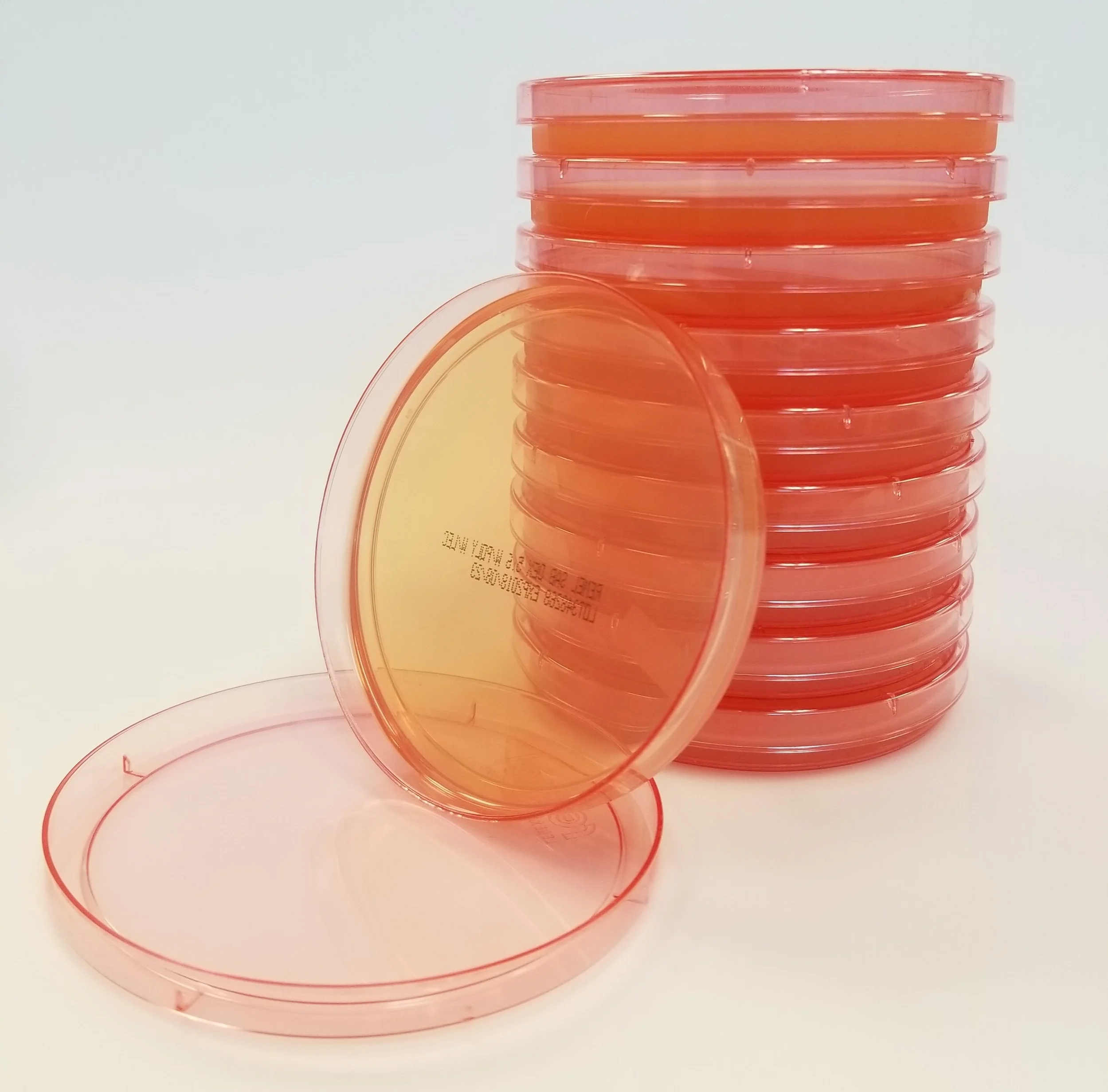 Order TSA Plates | SDA Plates | TSA Plate Microbiology — LAB 797