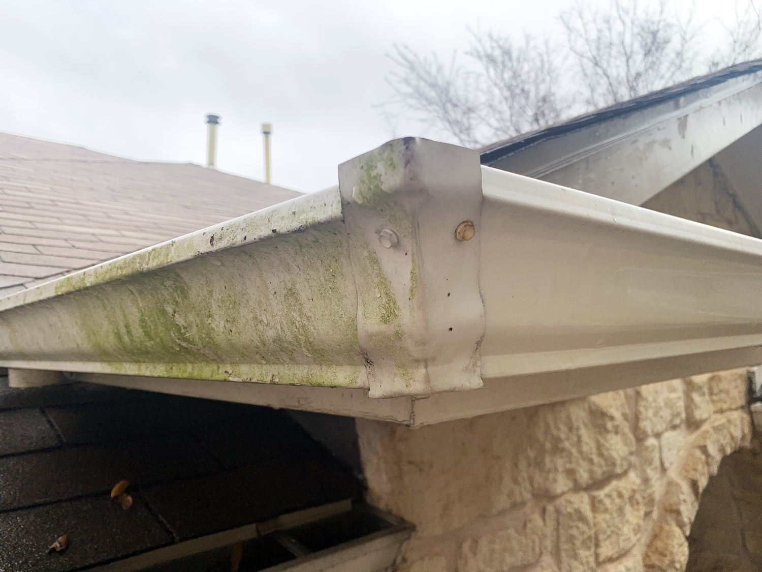 Exterior Trim + Gutters Update — Lone Oak Design Co.