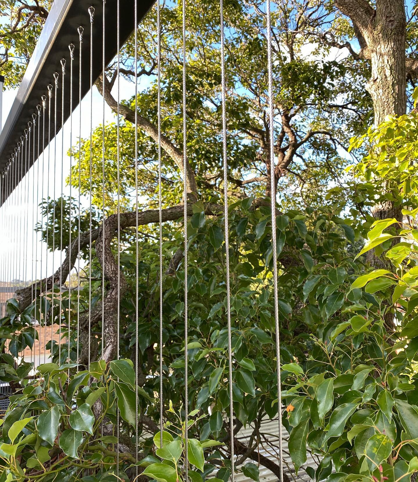 Eastern Landscapes - Melbourne Eastern Suburbs Landscaping — Services