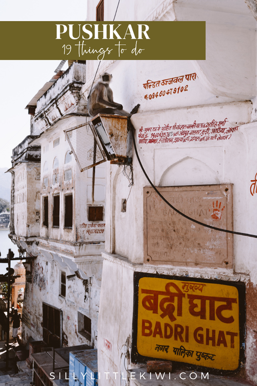 19 unique things to do in Pushkar: the ultimate guide to Pushkar, India — Where Tara Went