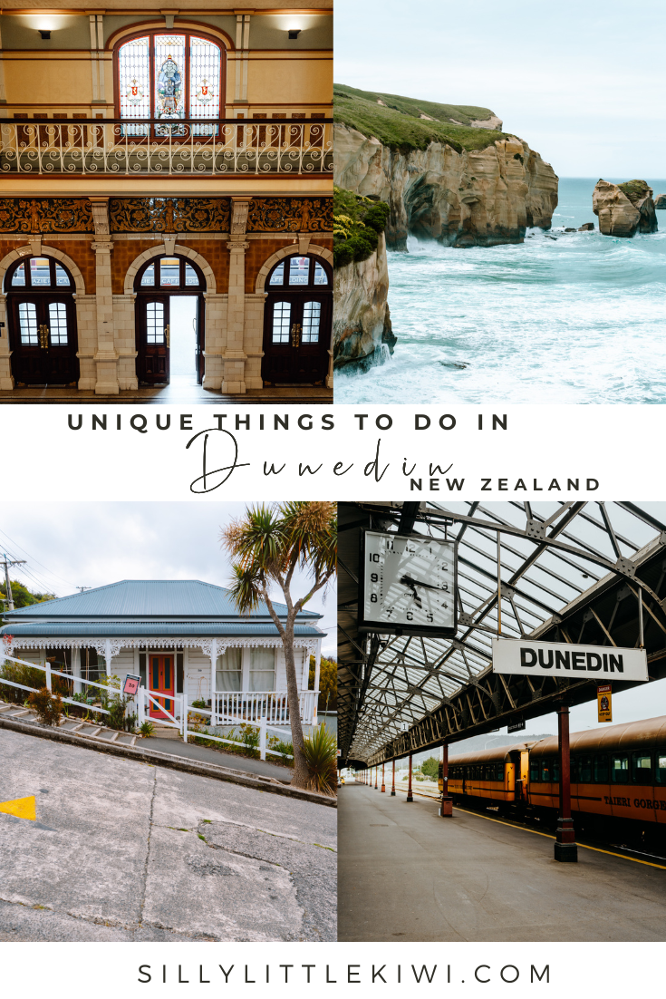 18 Unique Things to Do in Dunedin: A Complete Travel Guide to Dunedin ...