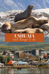 16 of The Best Things to Do in Ushuaia, Argentina — Where Tara Went